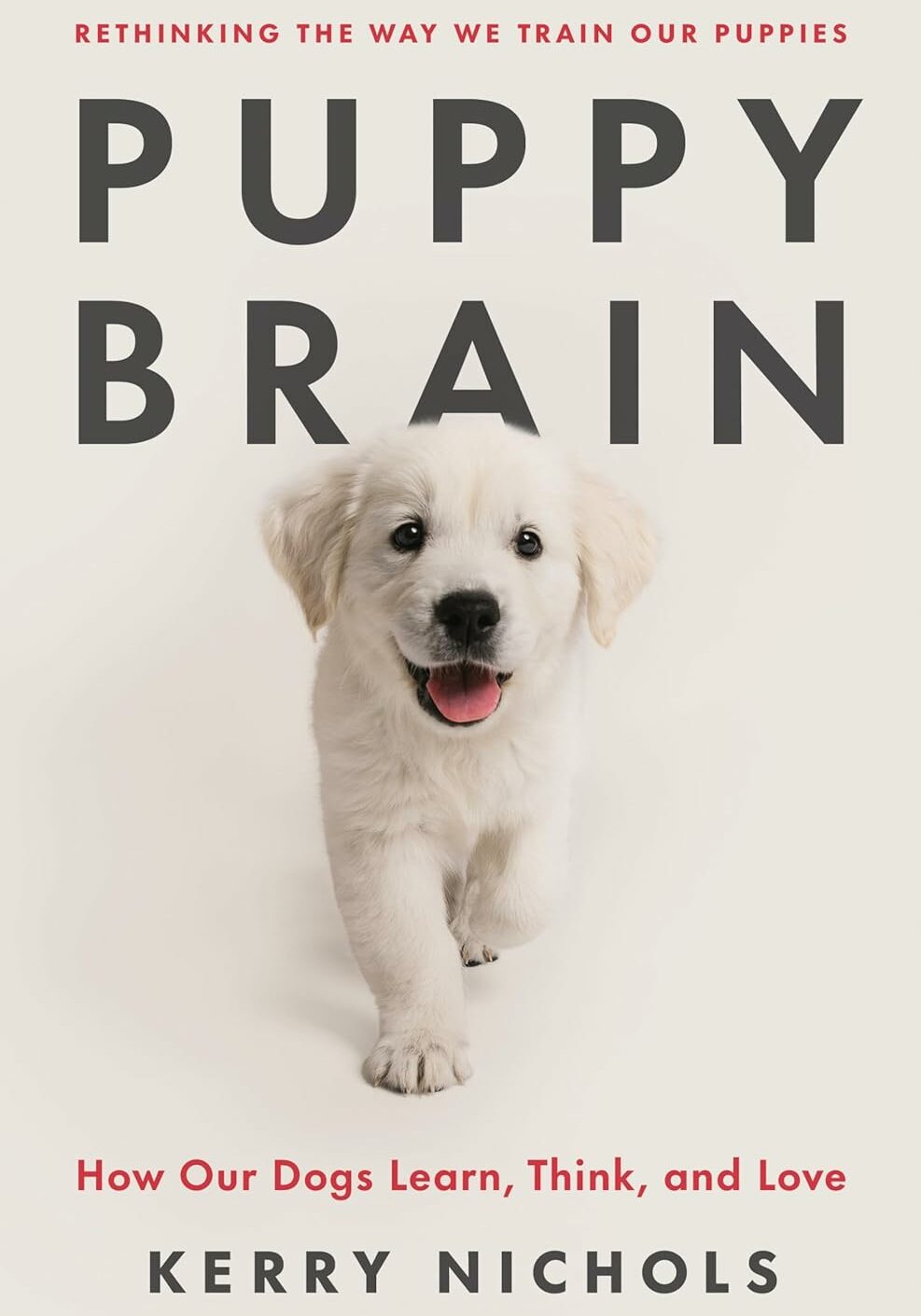 Home - Peters Township Public Library